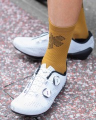 ＜限定＞サイクルソックス【SPEED CLUB SOCKS 2024】｜ASSOS（アソス）｜TOKYOlife